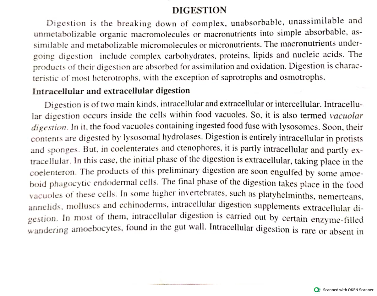 Digestion-Intracellular and extracellular , mechanism of digestion ...