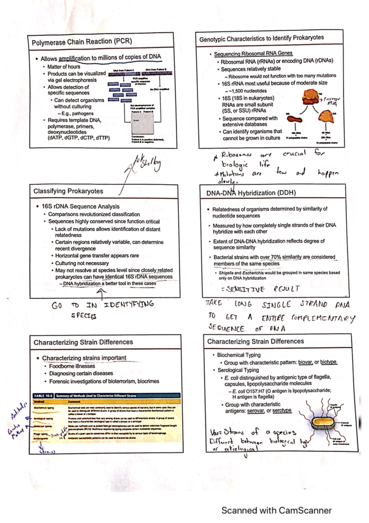 Cam Scanner 04-17-2023 22 - BIO-2010 - Studocu