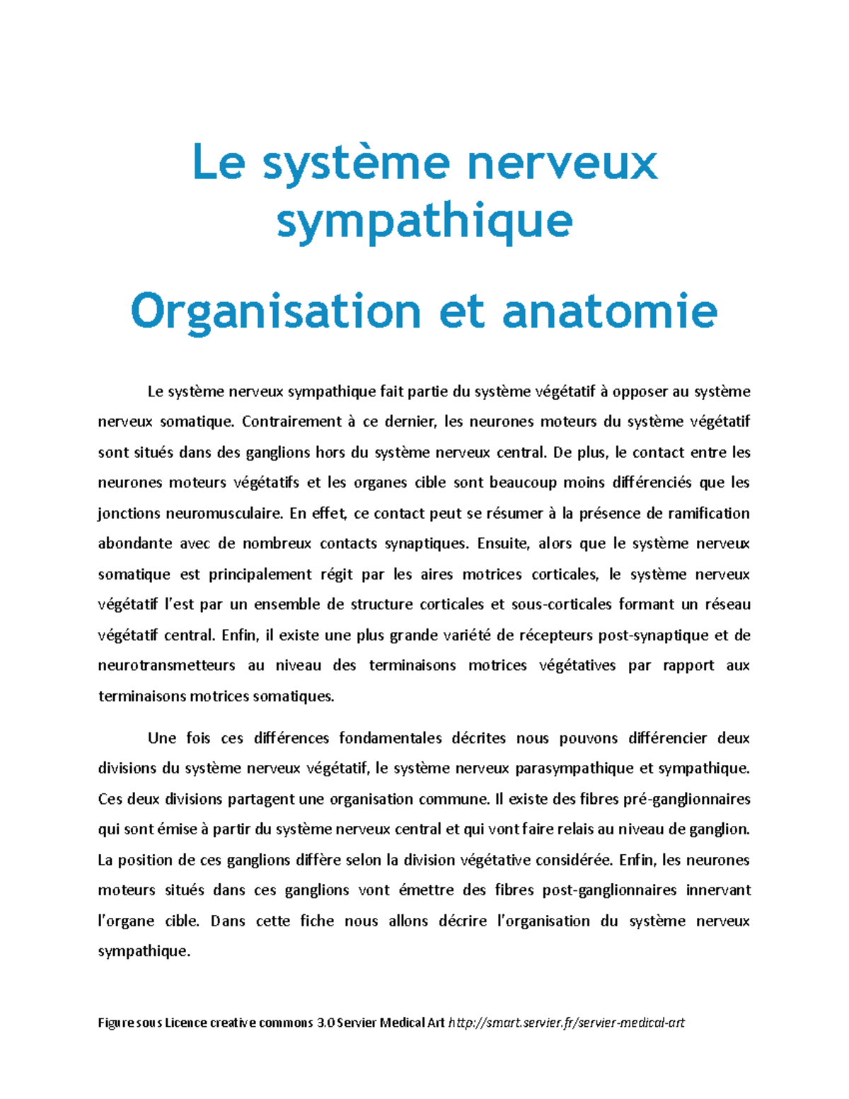 Le systeme nerveux sympathique fiche - Le système nerveux sympathique ...