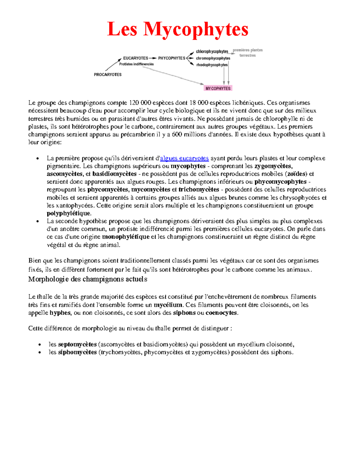 Les Mycophytes 001 - Les Mycophytes Le groupe des champignons compte ...