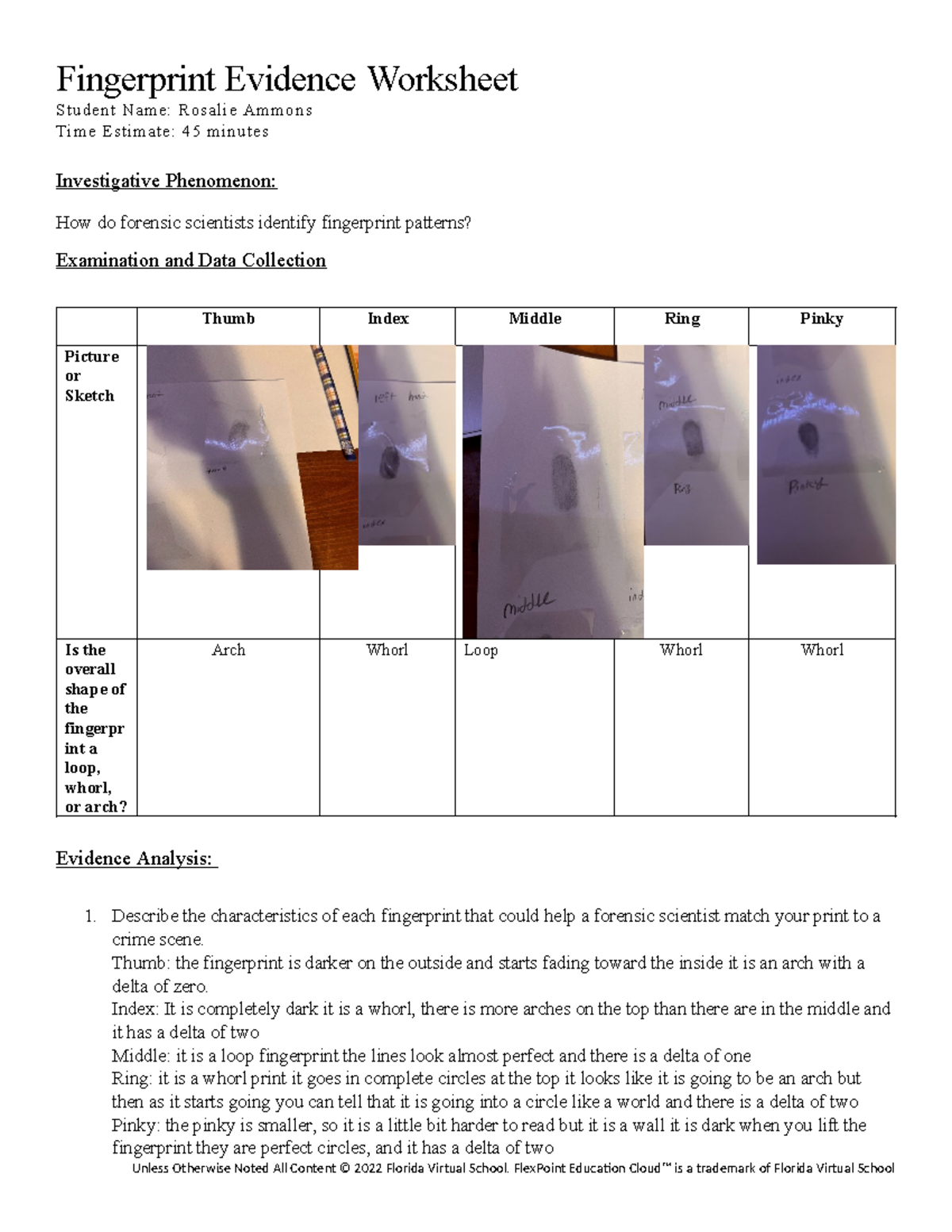 Fingerprint evidence worksheet - Fingerprint Evidence Worksheet Student ...