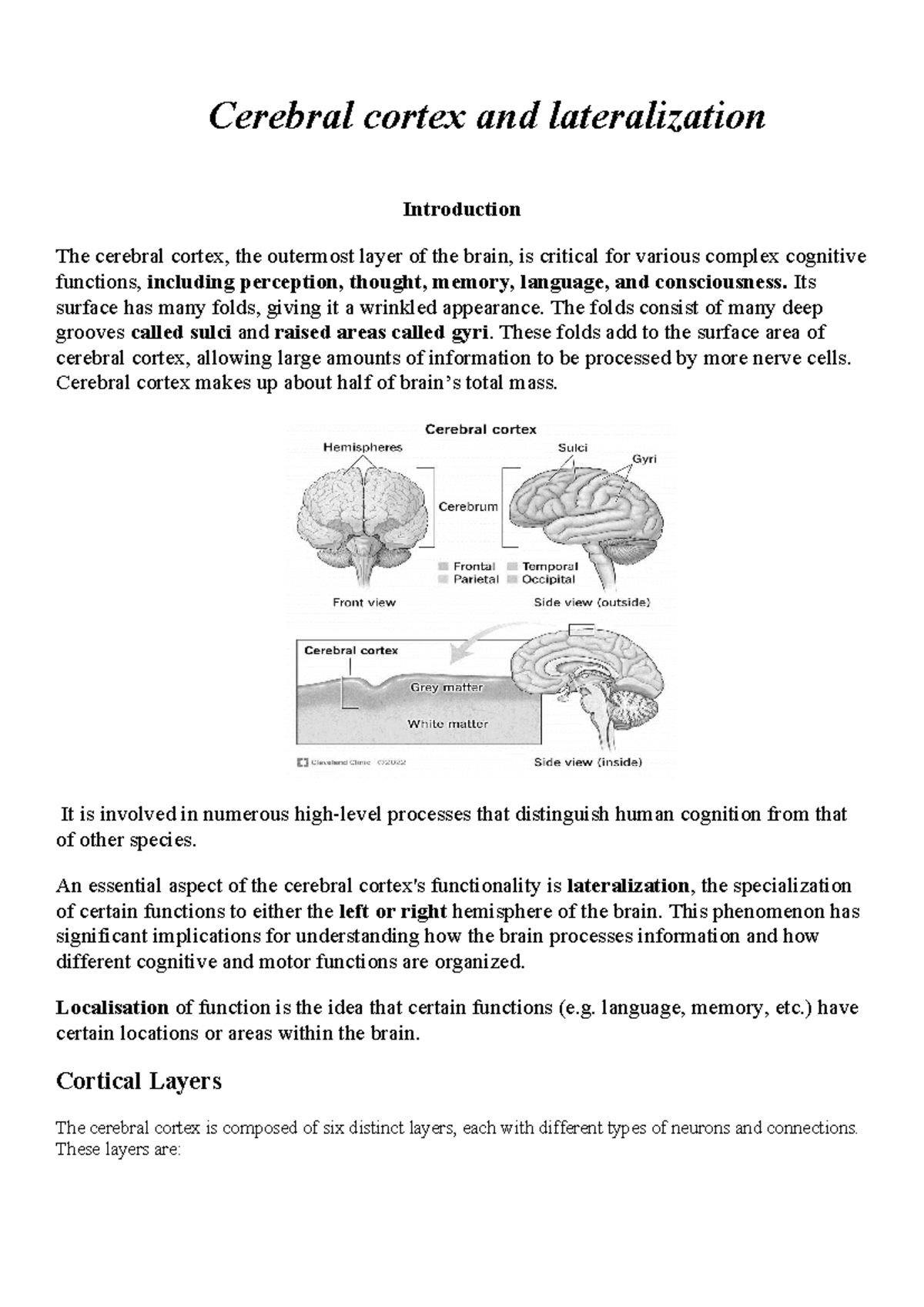 Neuropsychology assignment - Cerebral cortex and lateralization ...
