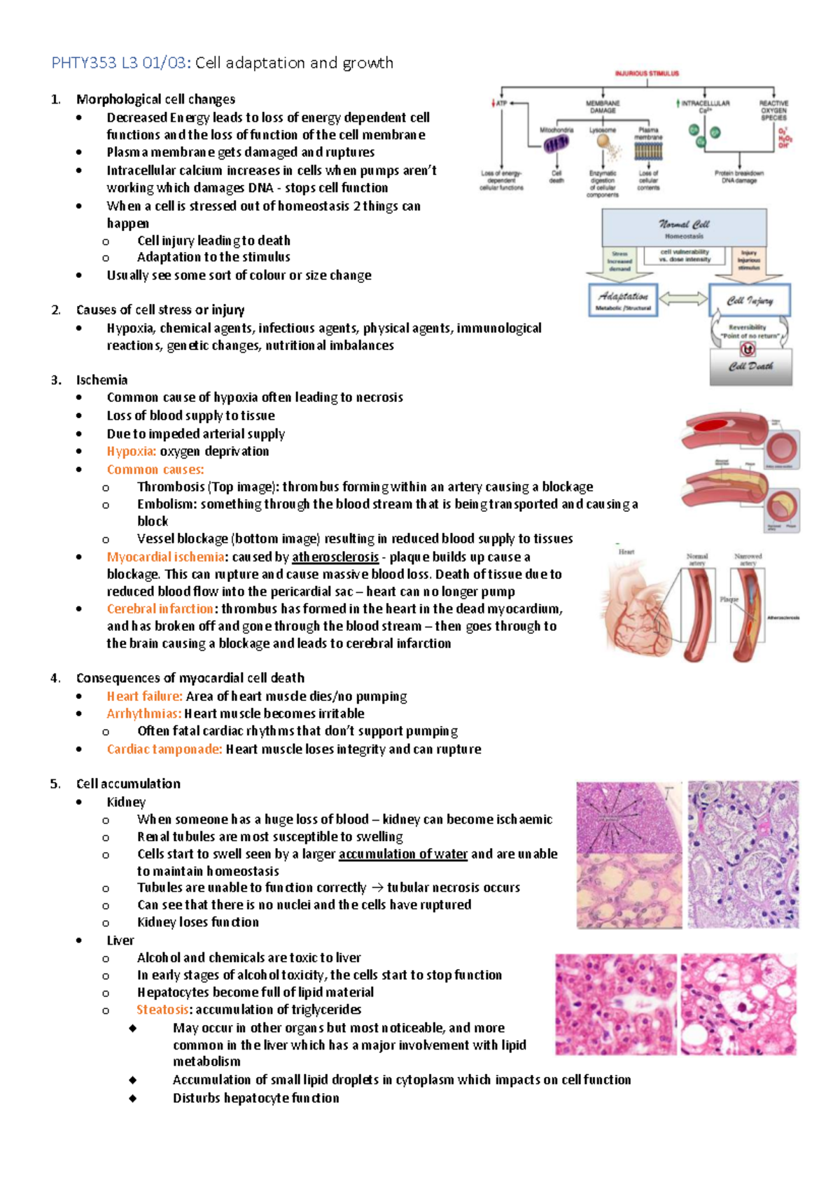 Pathology for Physiotherapy Lecture 3 - Warning: TT: undefined function ...