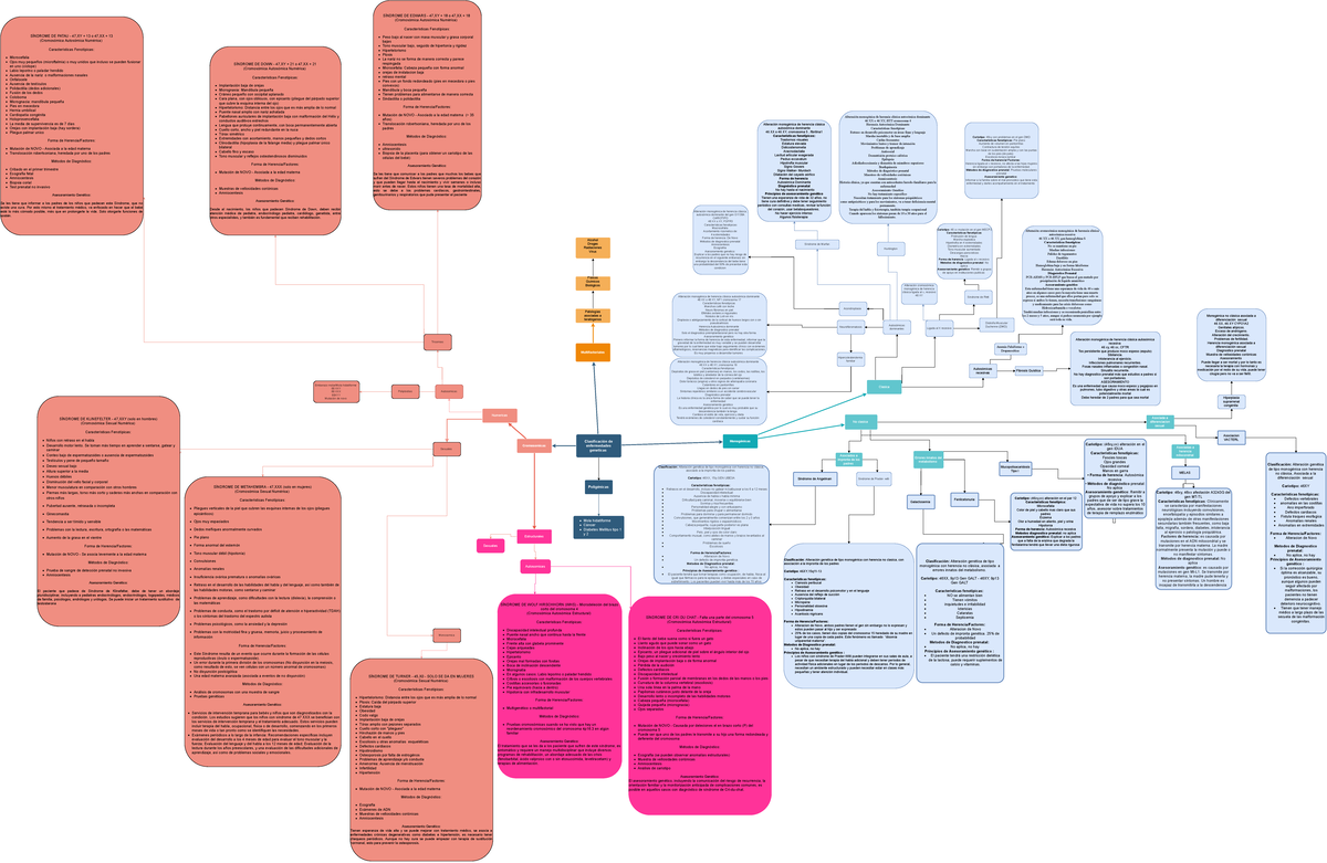 Mapa de patologías Embrio - Distrofia Muscular Duchenne (DMD ...