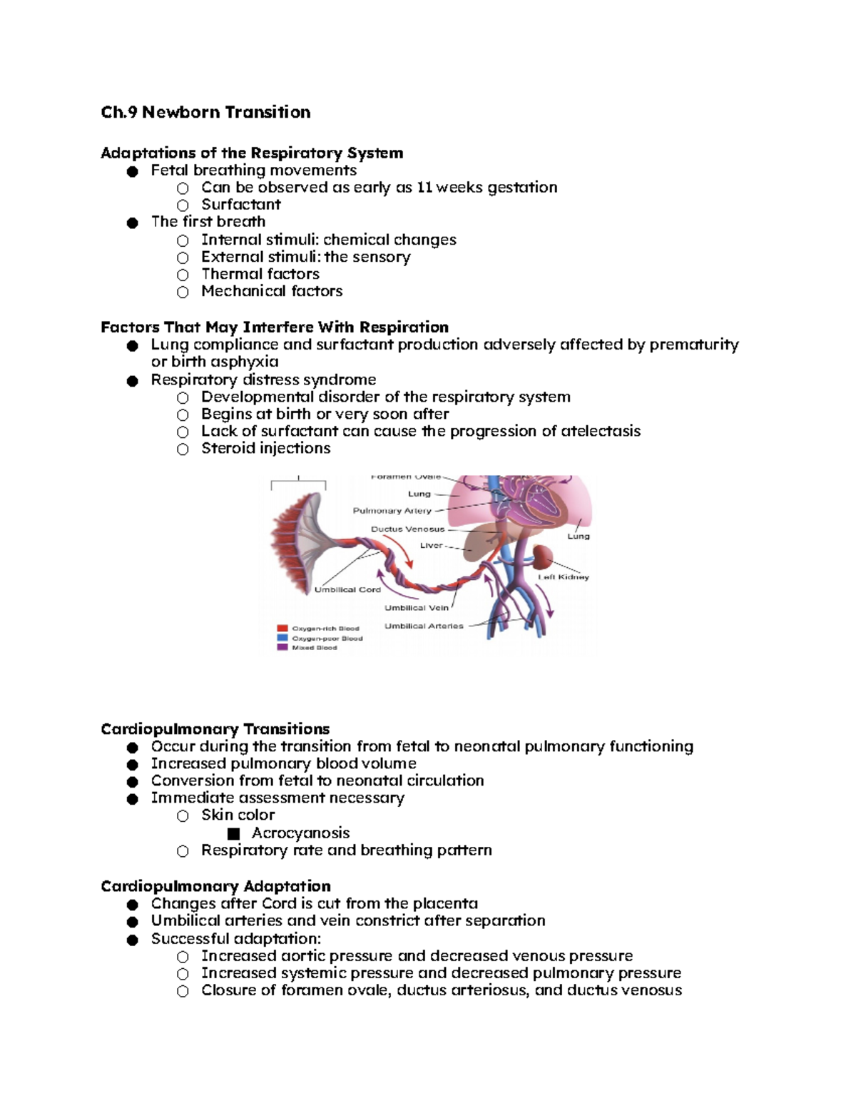 Ch.9 Newborn Transition - Ch Newborn Transition Adaptations of the ...