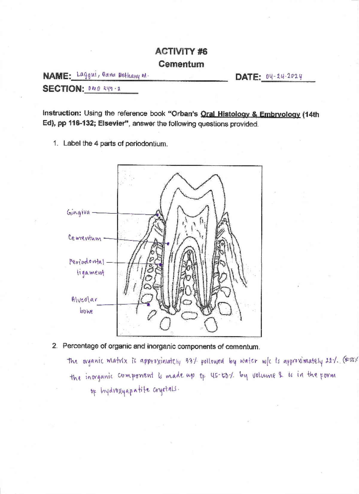 Cementum Activity - Doctor of Dental Medicine - Studocu