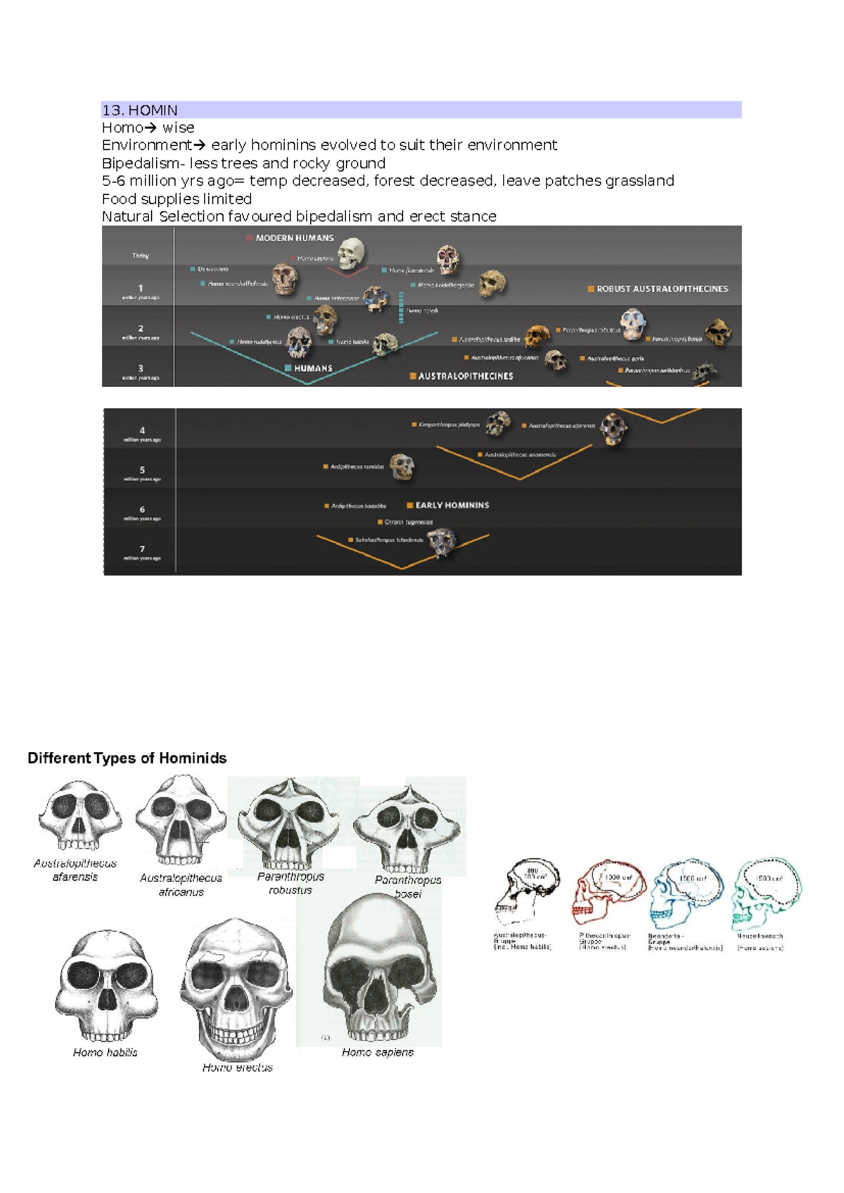 13 Hominin Evolution - 13. HOMIN Homo wise Environment early hominins ...