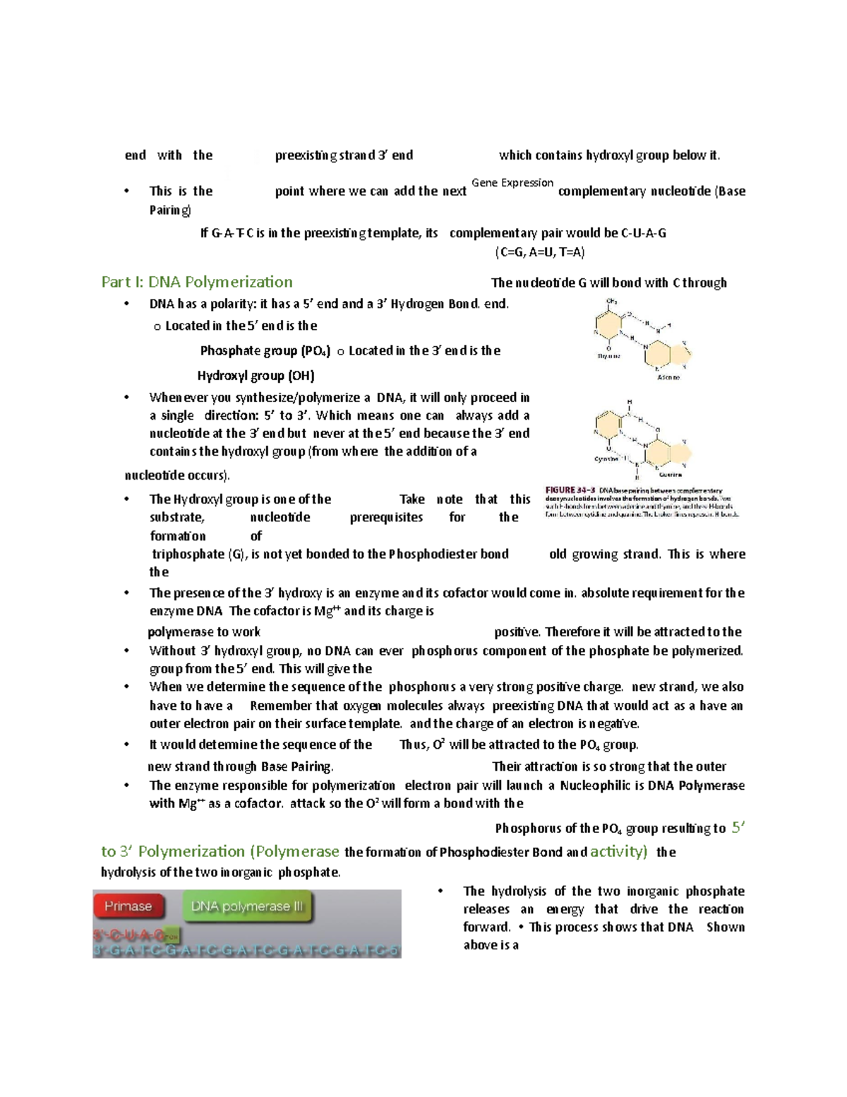 Biochemistry - Gene Expression 1 Biochemistry - Gene Expression 1.docx ...