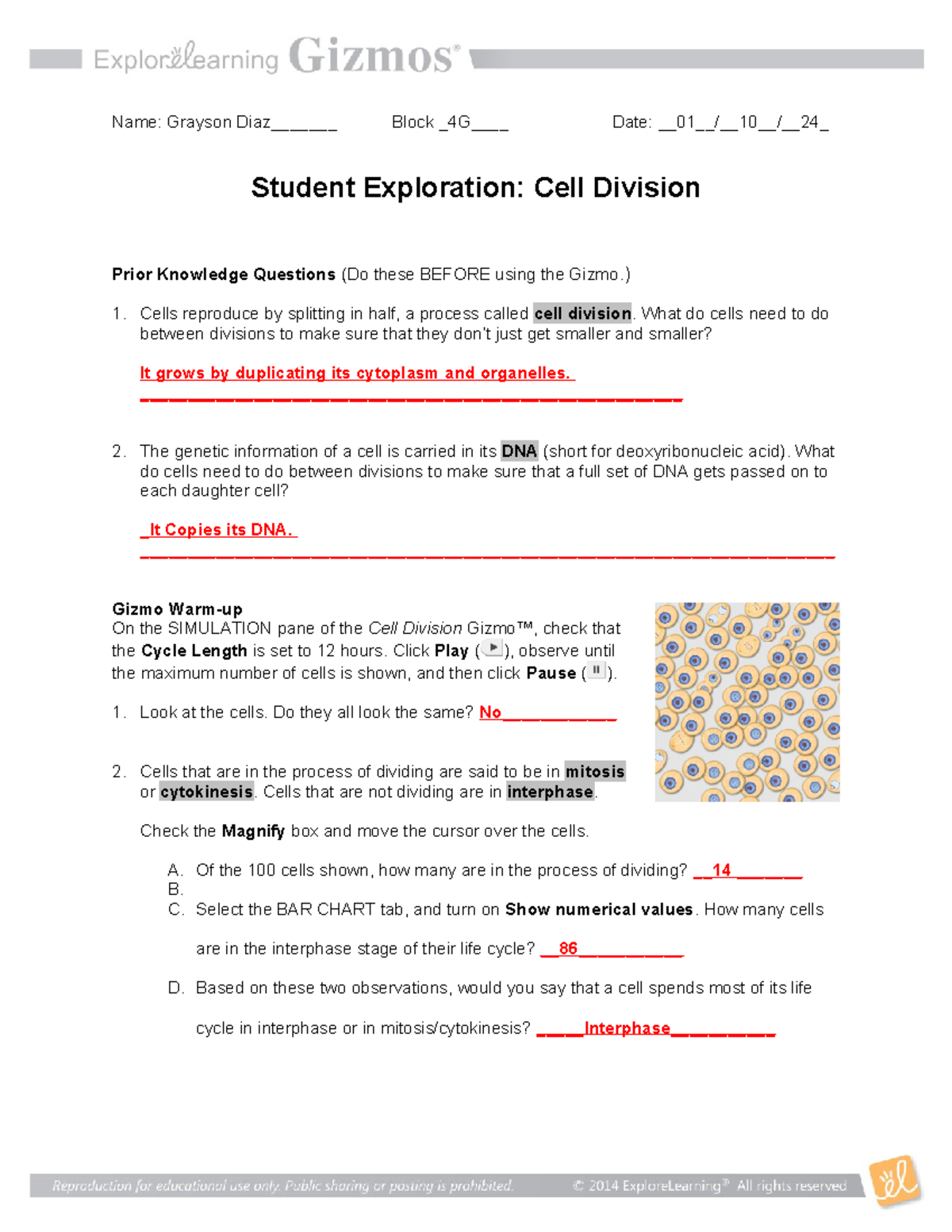 Cell division Gizmo - Name: Grayson Diaz_______ Block 4G___ Date: 01/10 ...