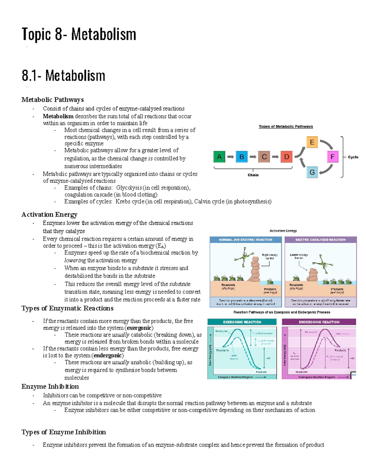 Topic 8 Notes - Topic 8- Metabolism 8- Metabolism Metabolic Pathways ...