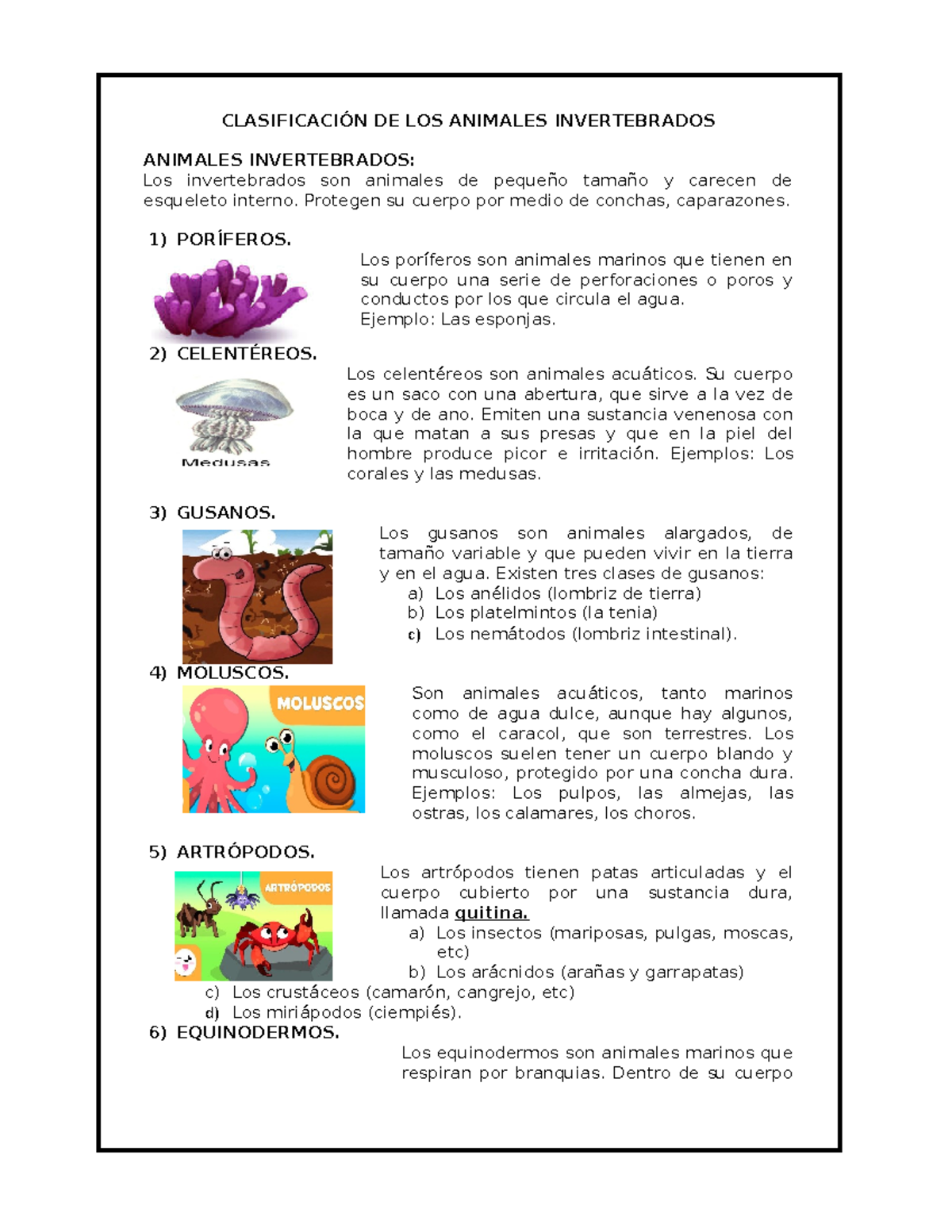 Clasificación DE LOS Animales Invertebrados - CLASIFICACIÓN DE LOS ...