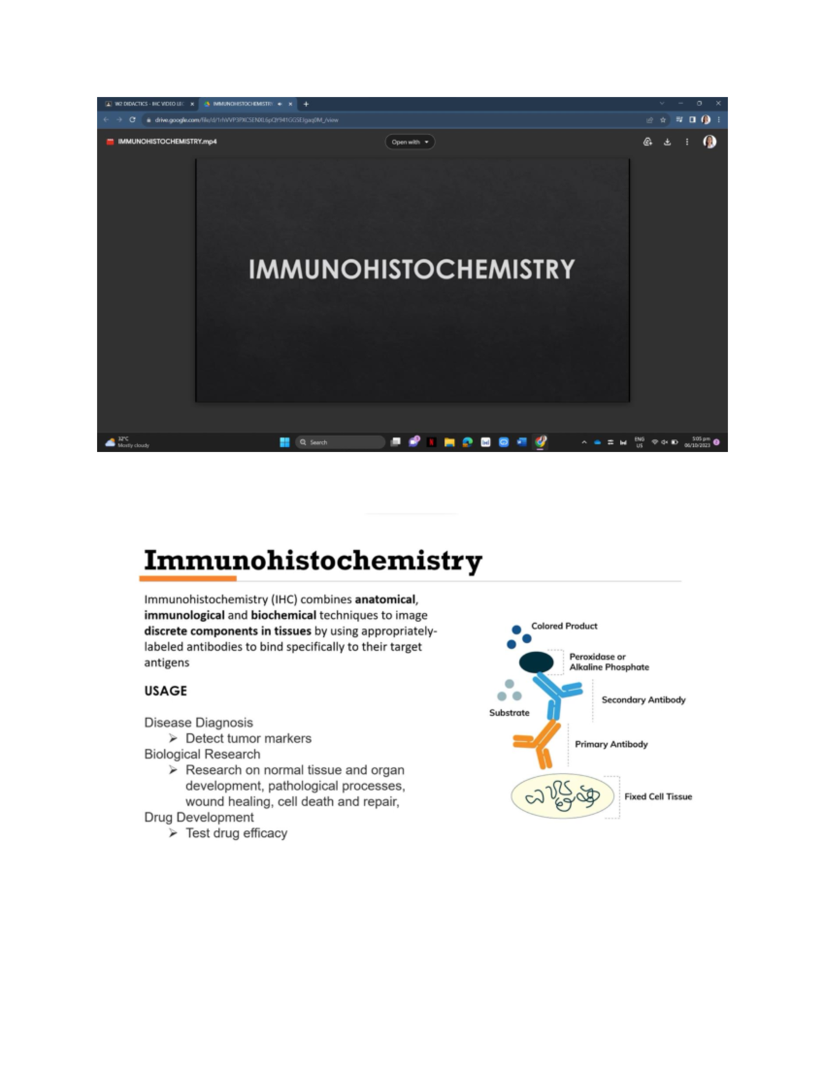 IHC Histopath - Medical Laboratory Science - Studocu