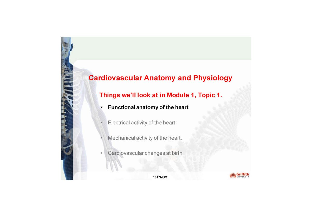 1- Cardiovascular System - Cardiovascular Anatomy and Physiology ...