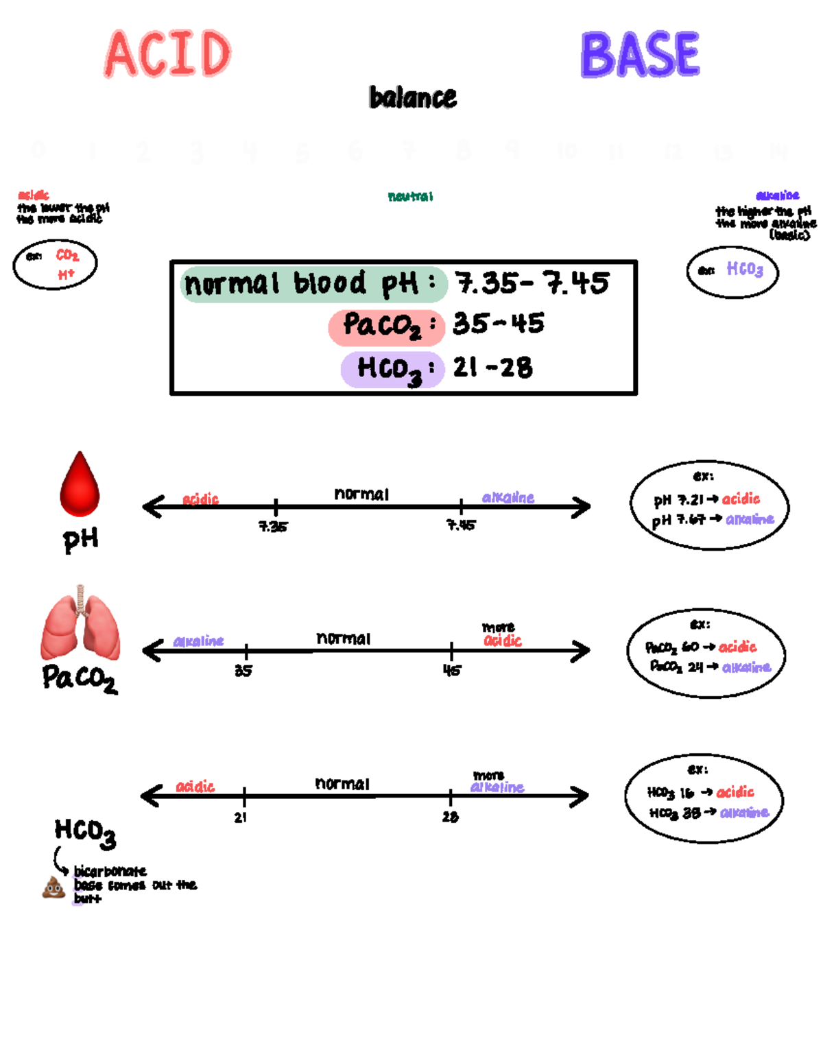 Acids and Base - hij - ACID BASE balance acidic neutral alkaline the ...