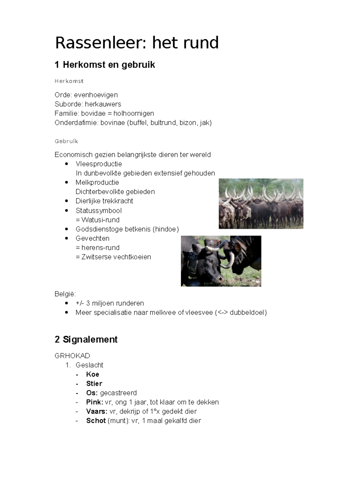 Rassenleer het rund - Geslacht - Koe - Stier - Os: gecastreerd - Pink ...