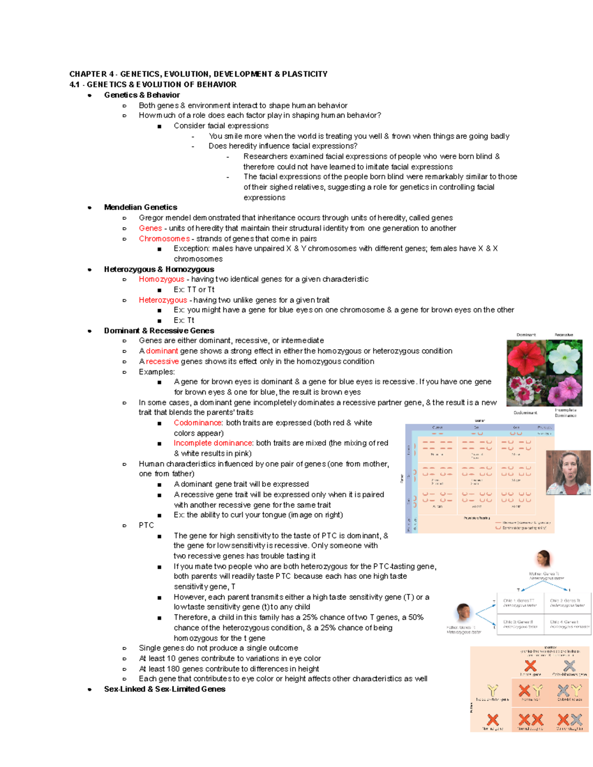 PSB 3002 Chp 4 Notes - CHAPTER 4 - GENETICS, EVOLUTION, DEVELOPMENT ...