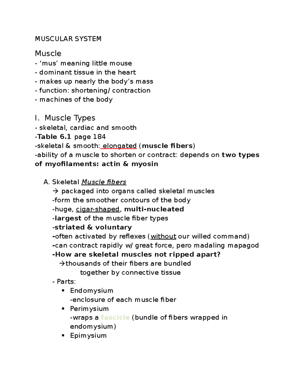 205724203-Muscular-System - MUSCULAR SYSTEM Muscle ‘mus’ meaning little ...