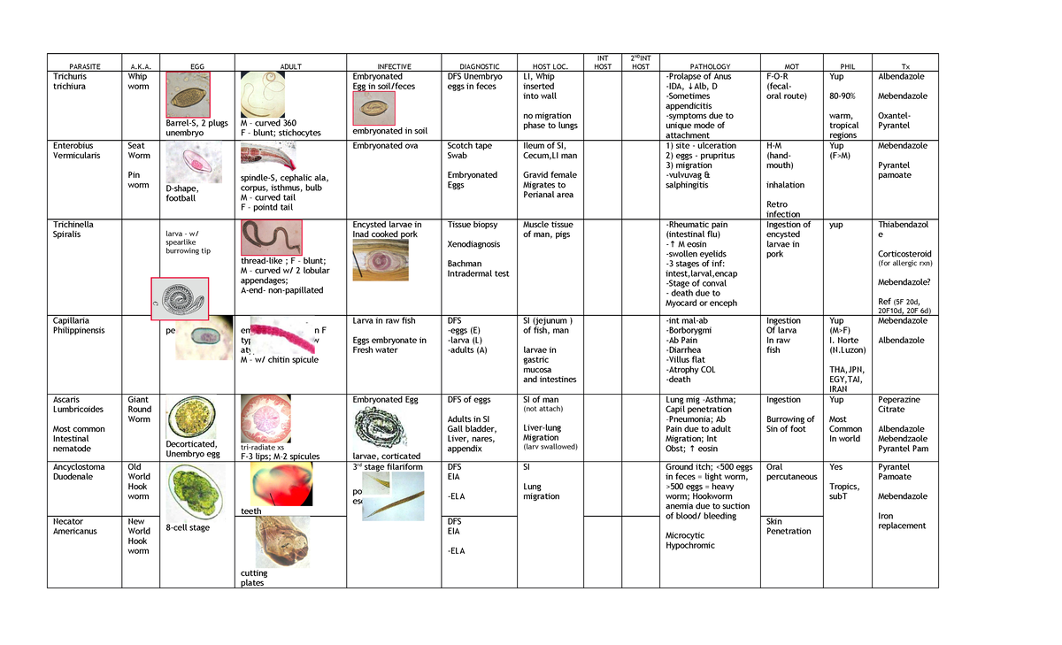 Parasitology Mega Table Review - PARASITE A.K. EGG ADULT INFECTIVE ...