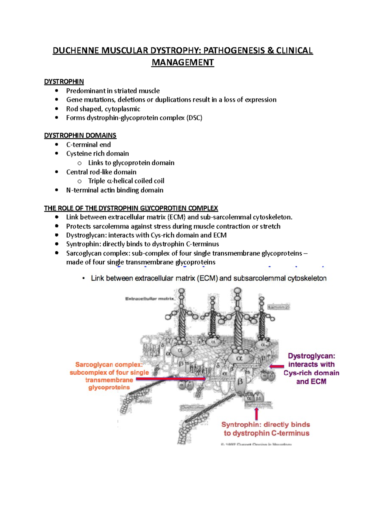 Duchenne Muscular Dystrophy(pt2) - Lt7 - DUCHENNE MUSCULAR DYSTROPHY ...