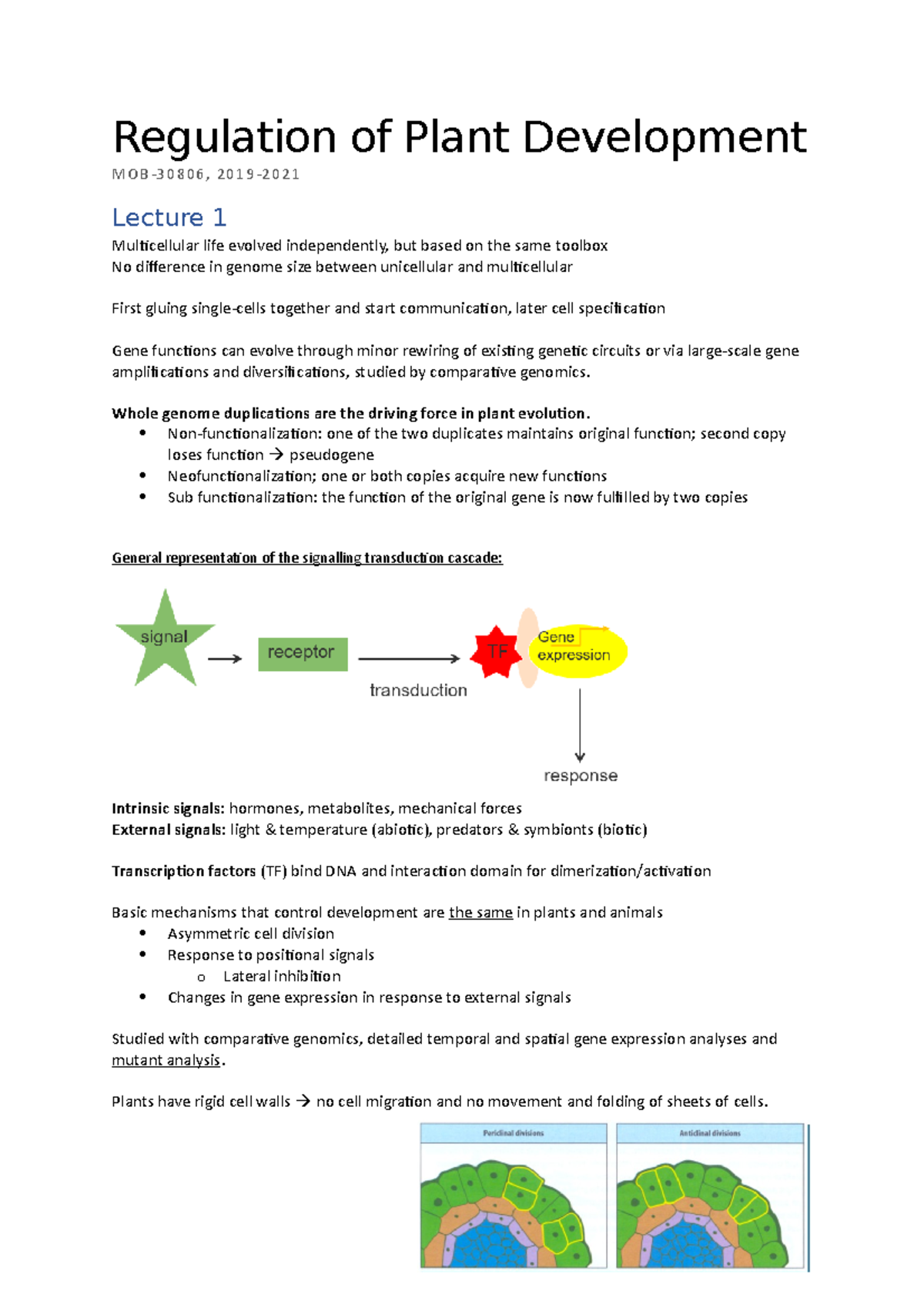 Regulation of Plant Development summary 2 - Regulation of Plant ...