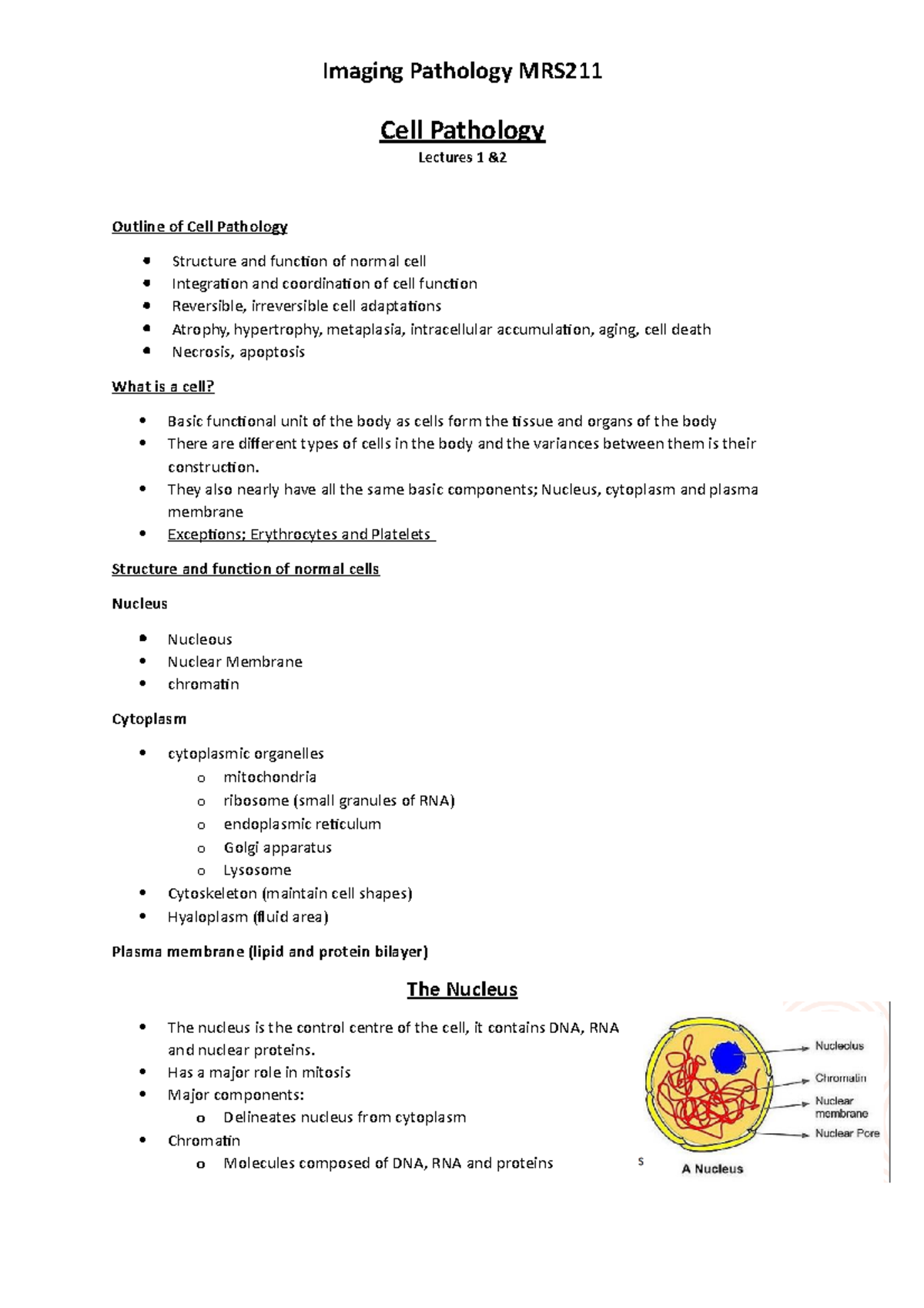 Cell Pathology - lecture notes from the PowerPoint - Cell Pathology ...
