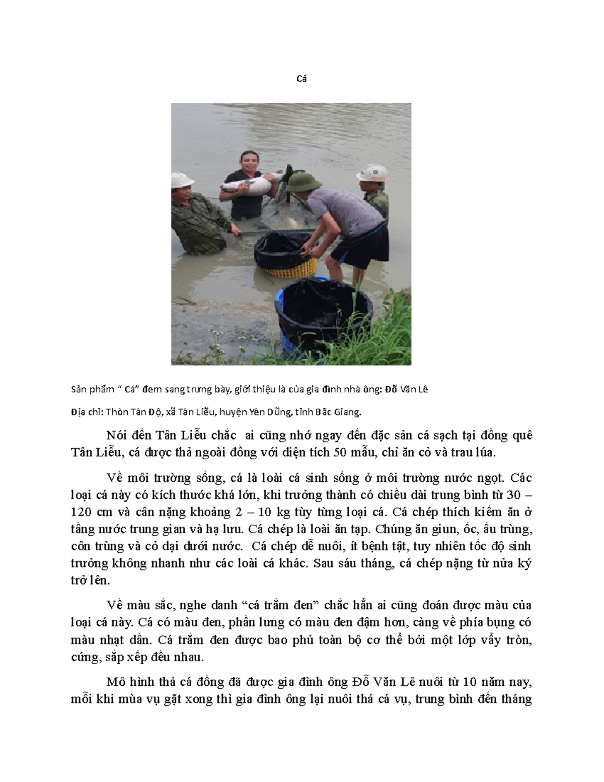 Công nghệ chế tạo máy - Cá S n ph m “ Cá” đem sang tr ng bày, gi i thi u là c a gia đình nhà ông ...