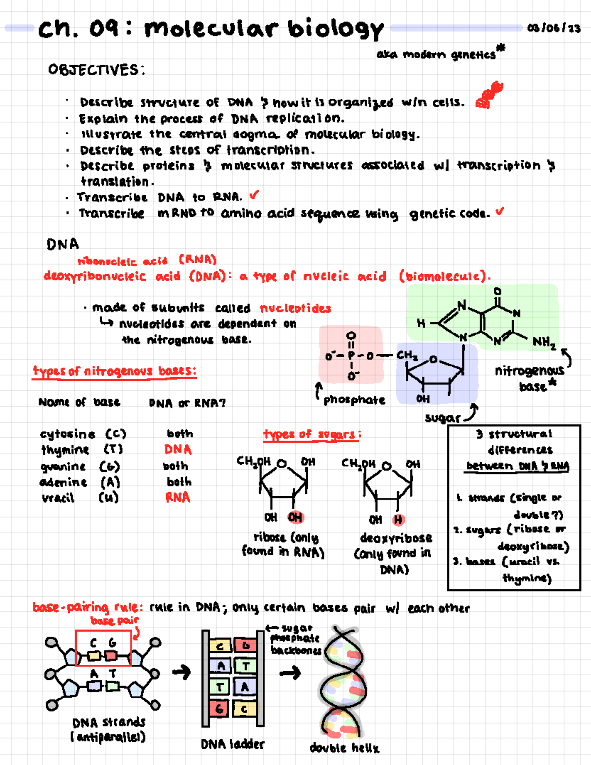 Ch 9- Molecular Biology - ch:molecular biology 03/06/ * aka modern ...