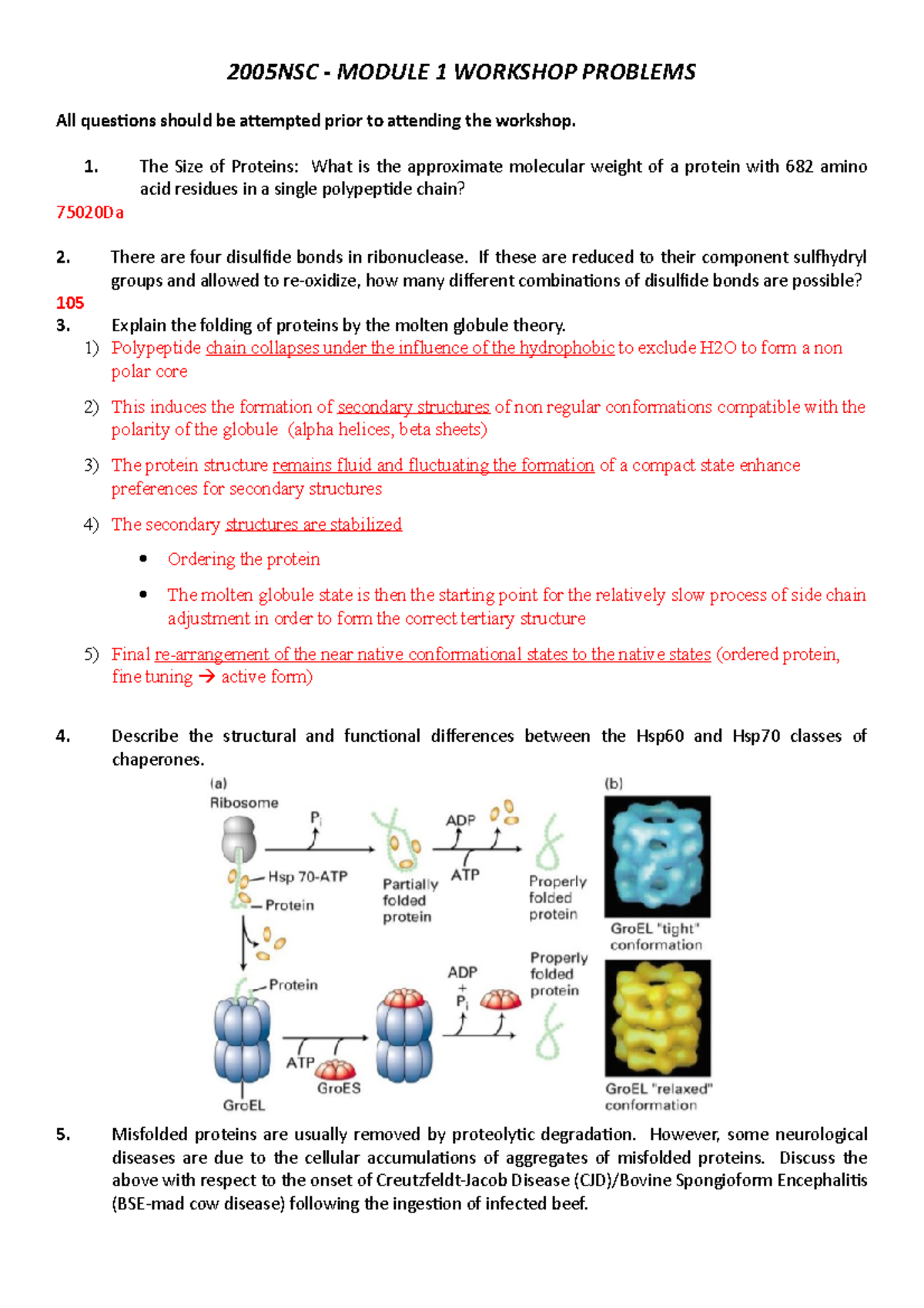 2005 NSC Module 1 Workshop Questions - 2005NSC - MODULE 1 WORKSHOP ...