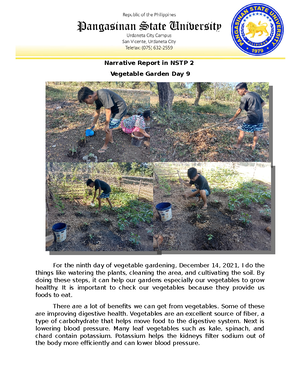 Guidelines-NSTP 2(Project Proposal) - MANAGEMENT OF NSTP COMMUNITY ...