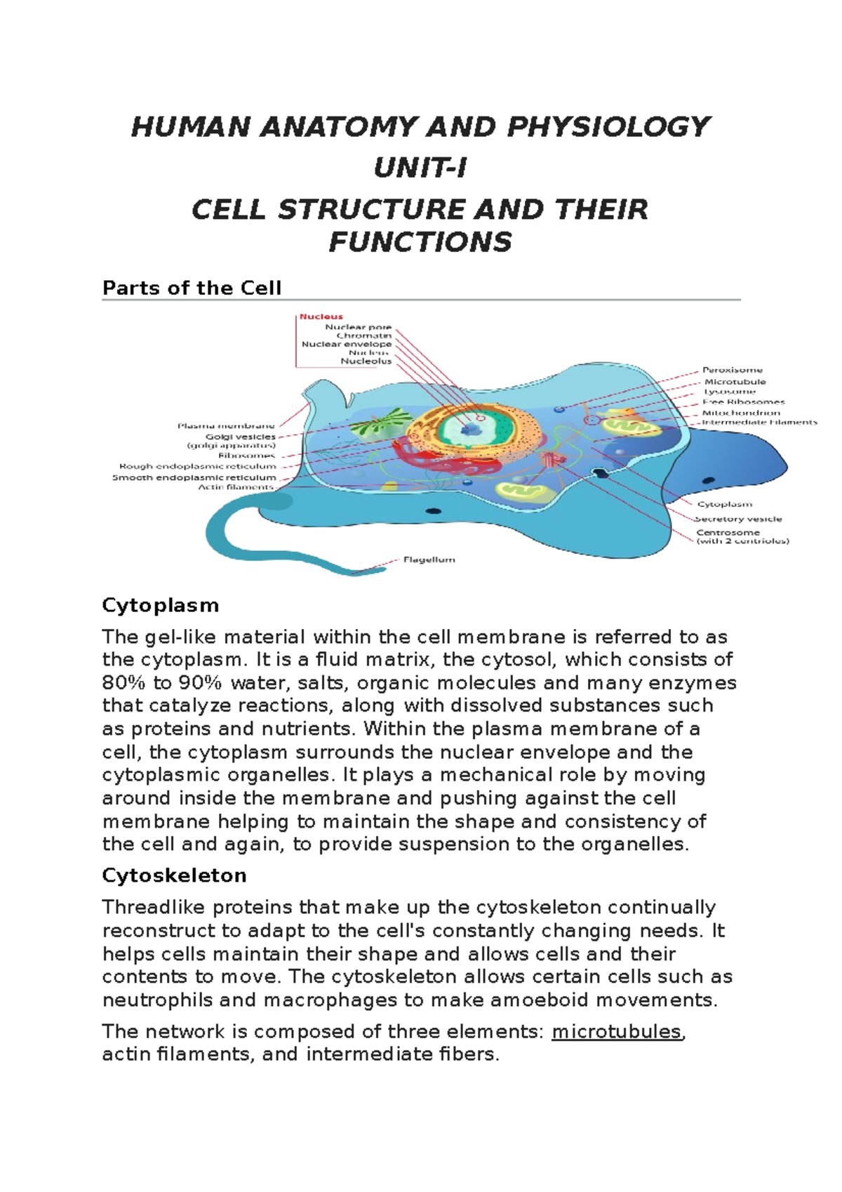 Cell - student notes - HUMAN ANATOMY AND PHYSIOLOGY UNIT-I CELL ...