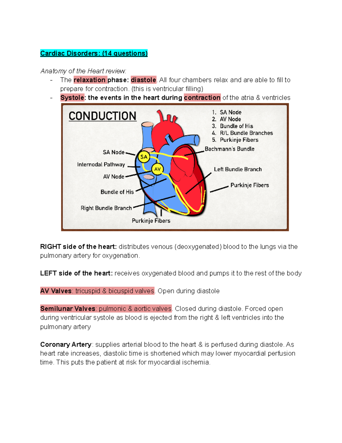 Copy of Med Surge Exam #2 - Cardiac Disorders: (14 questions) Anatomy ...
