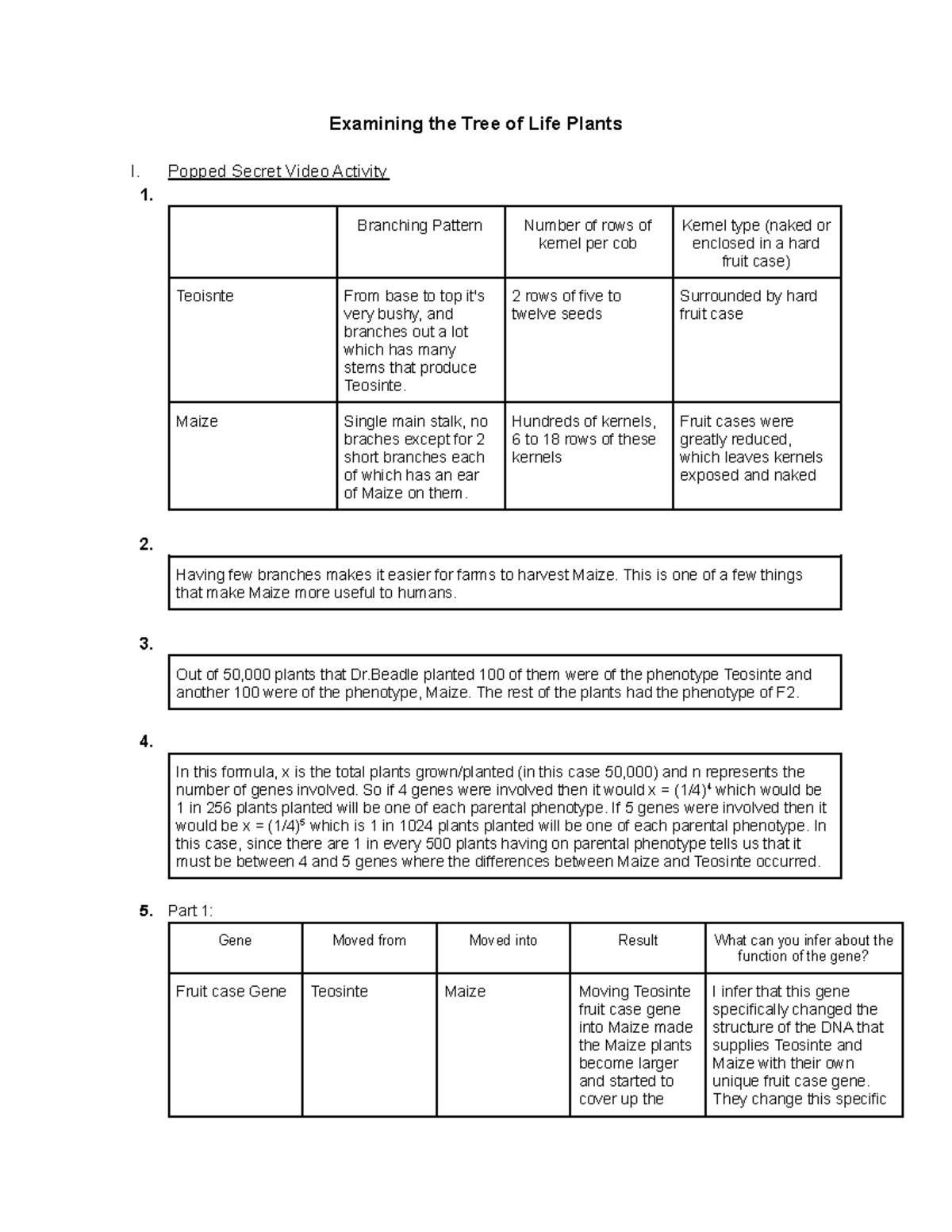 Plant Life Kaiserscience