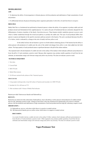 CATA - CATALASE TEST, PRINCIPLE,RESULT ,CARBOHYDRATE TEST FERMENTATION ...
