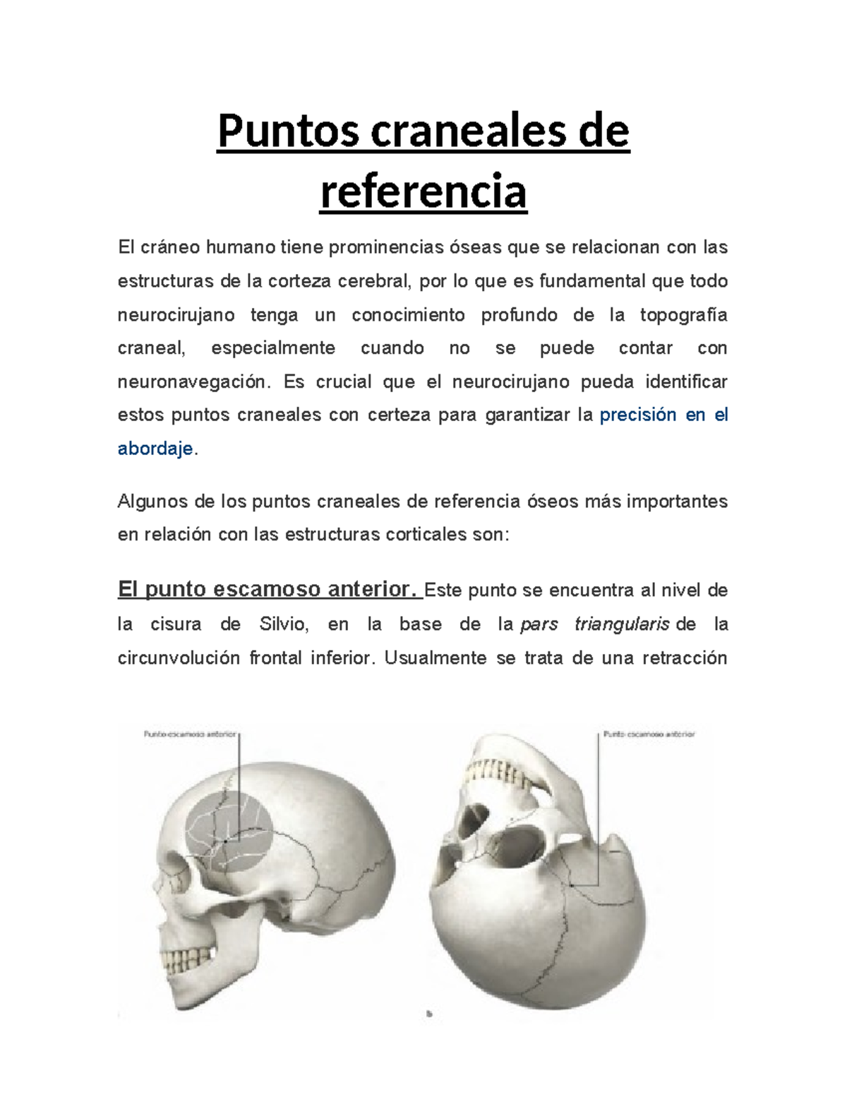 Puntos craneales de referencia - Puntos craneales de referencia El ...