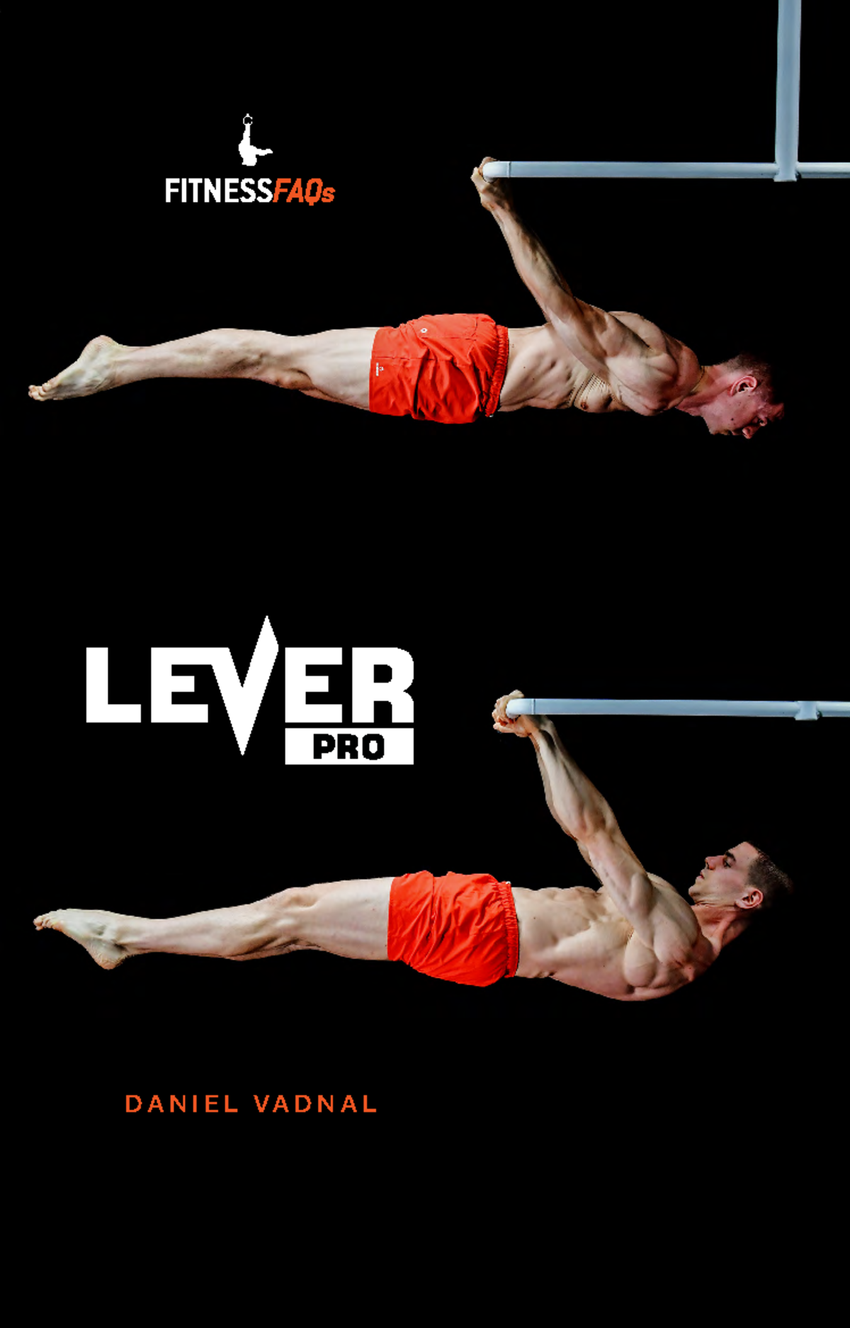 Lever pro program - daniel vadnal DISCLAIMER The information in this ...