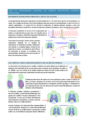 Tablas de anatomía - POSICIONES BÁSICAS NOMBRE DESCRIPCIÓN INDICACIONES ...