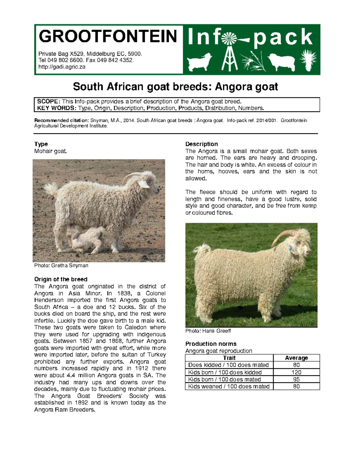 Goat breeds - Angora goat - South African goat breeds: Angora goat ...
