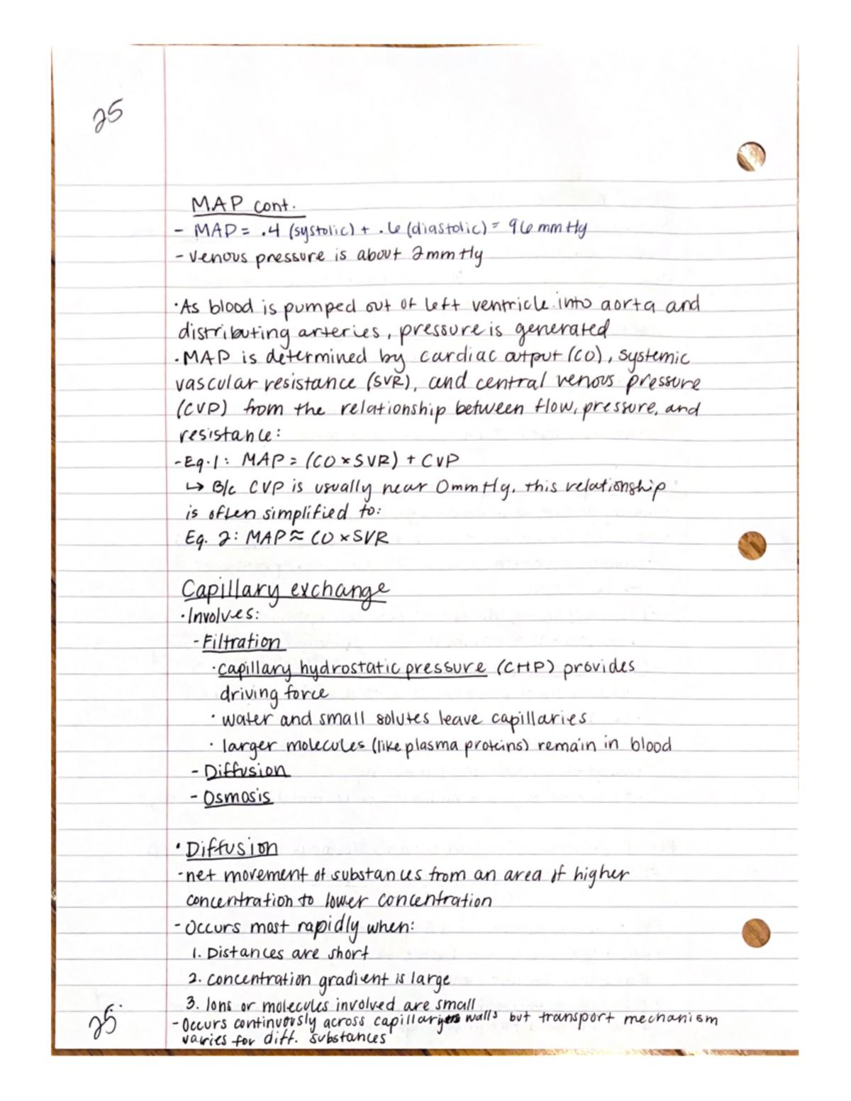 Cardio Notes: Heart (pg 25-30) - BIO 142 - Studocu