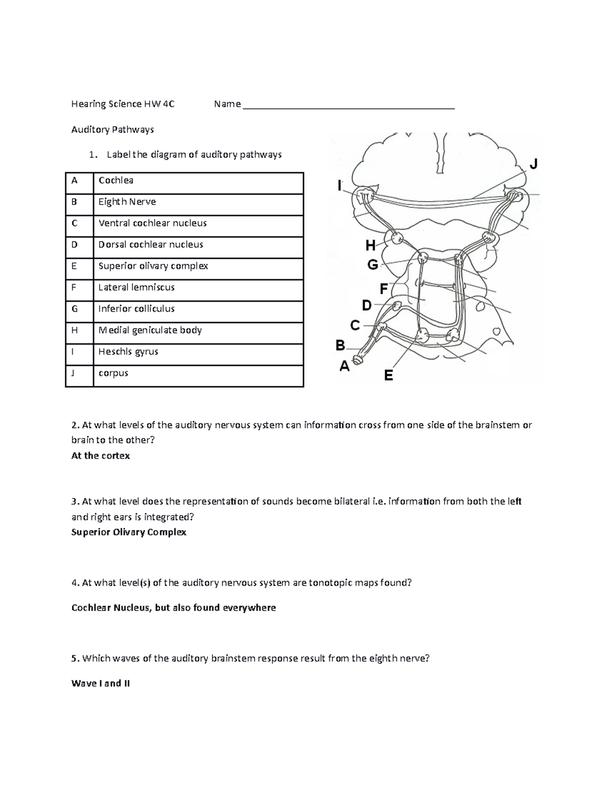 Outer and Middle Ear Assignments Chapter 5 Hearing Science - Hearing ...