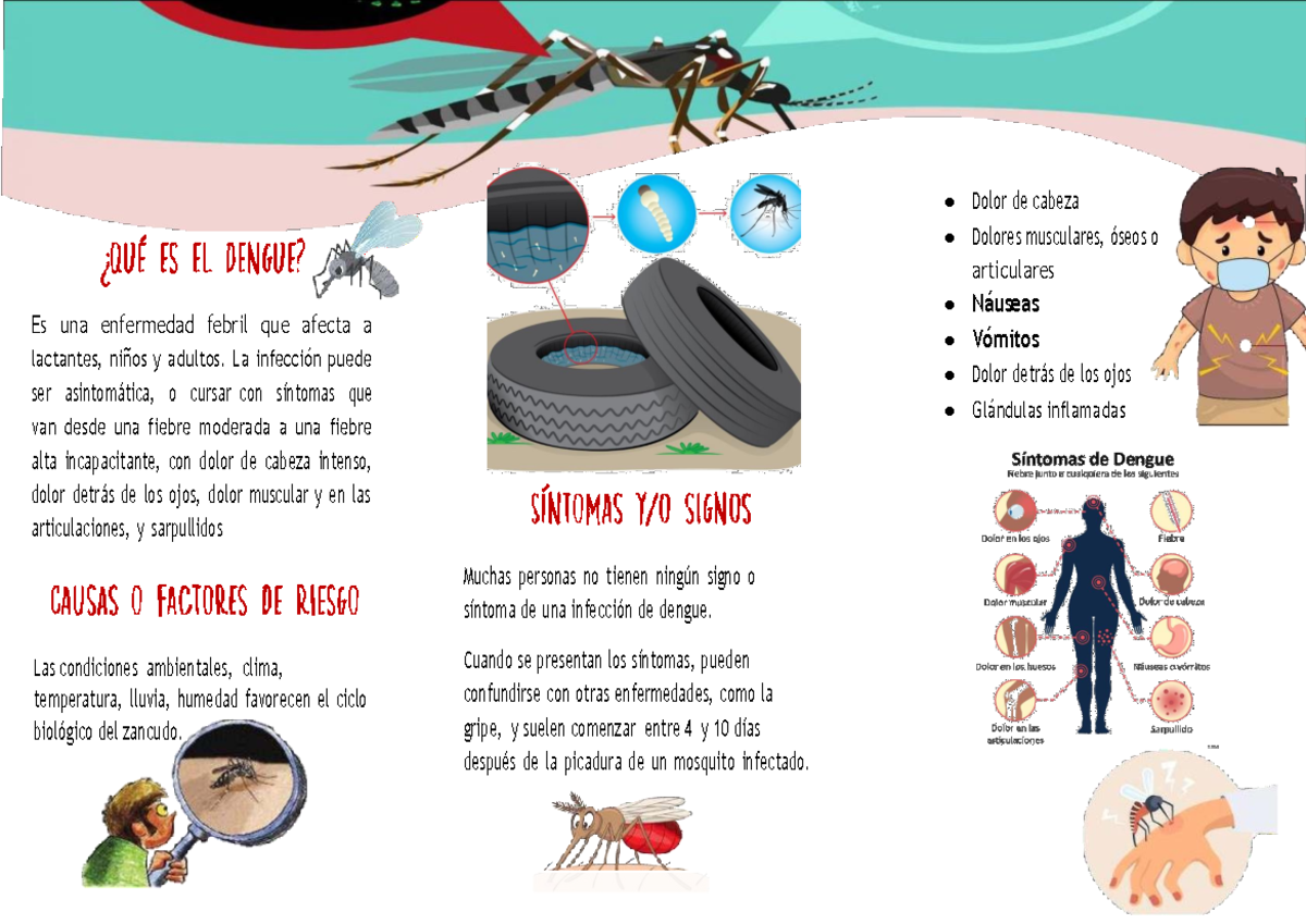 Dengue. Wendoli - Es un tríptico - Es una enfermedad febril que afecta ...