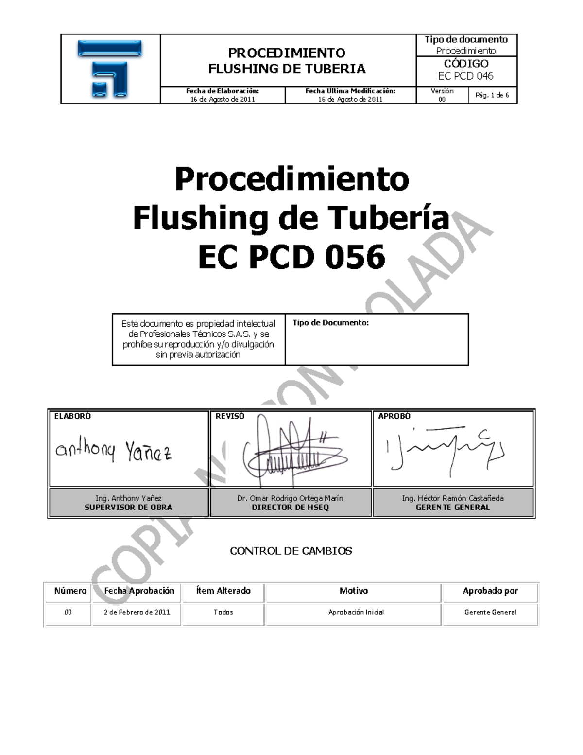 procedimiento de flushing en tuberias de acero al carbono ...