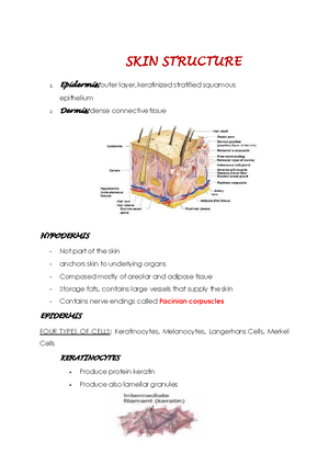Urine characteristics - The pigment urochrome (from hemoglobin ...