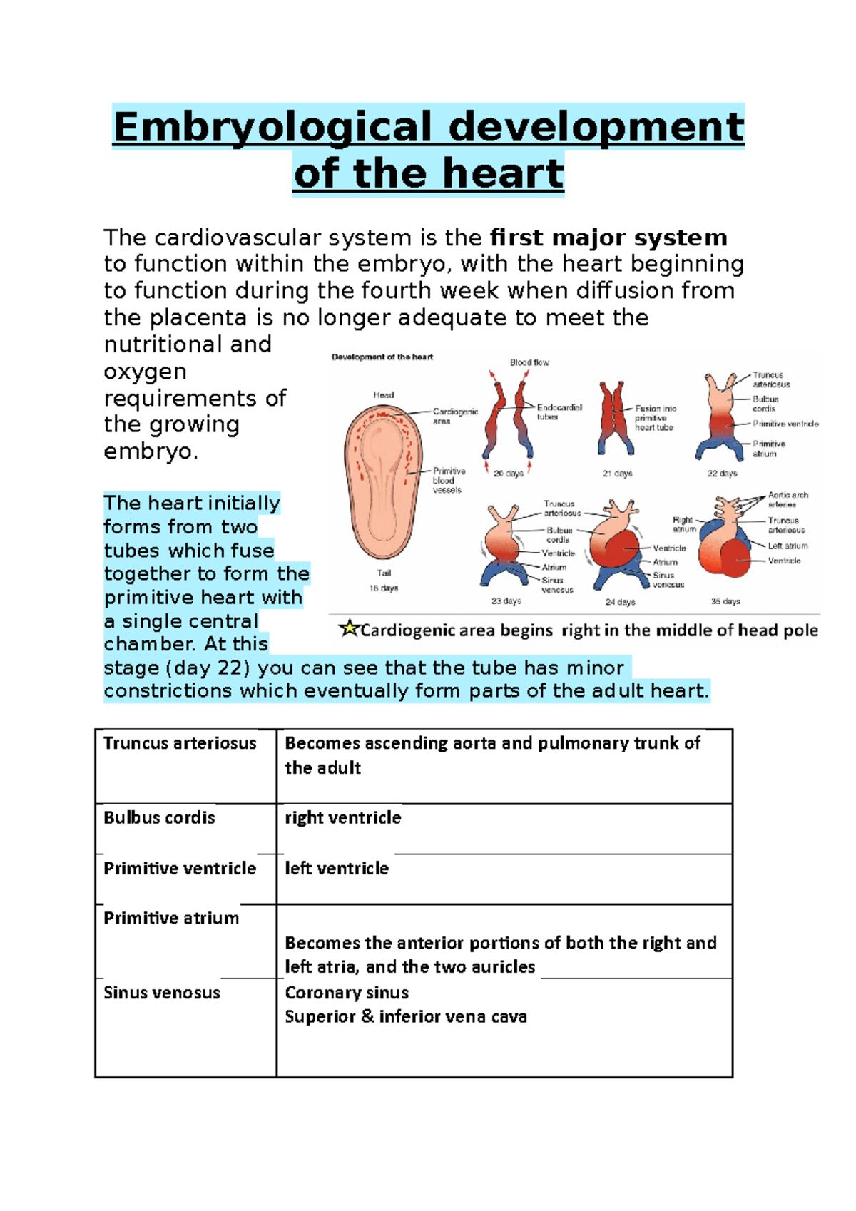 Embryological development of the heart - Embryological development of ...