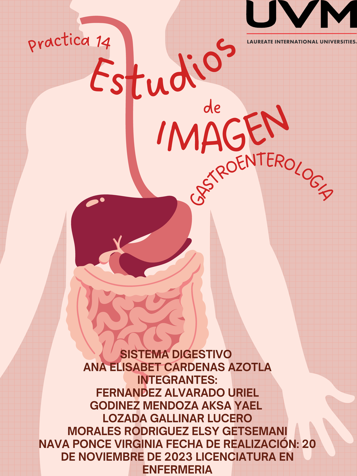 Practica 14 - kio90pokj - E s t u d i o s I M A G E N d e G A S T R O E ...