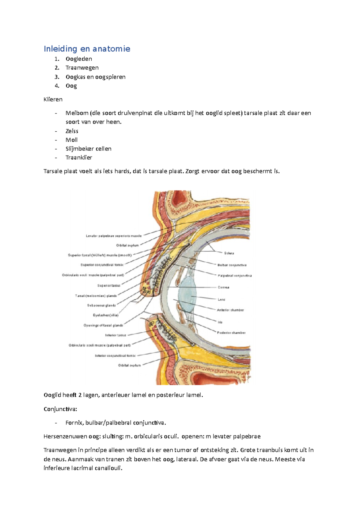 Aantekeningen + vragen van de toets - Inleiding en anatomie Oogleden ...