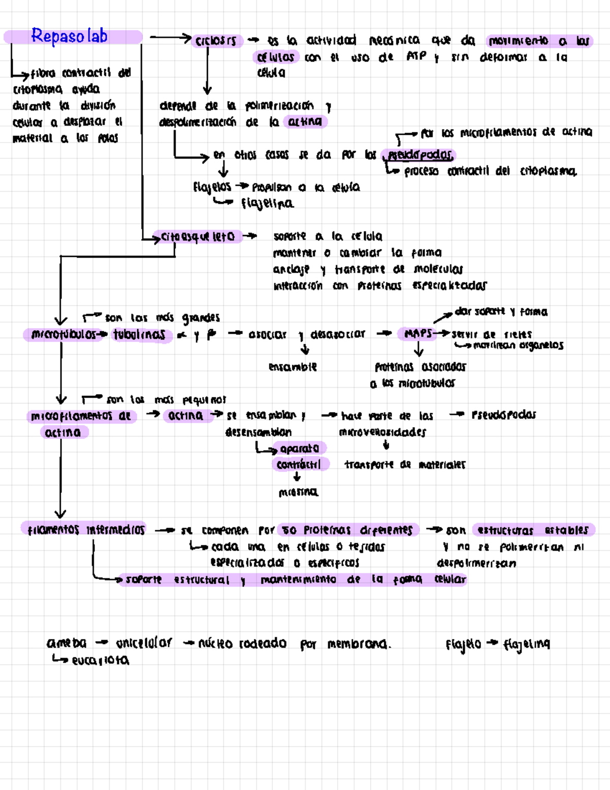 BiologíA Molecular Y Celular - Repaso lab Ciclosis - > es la actividad ...