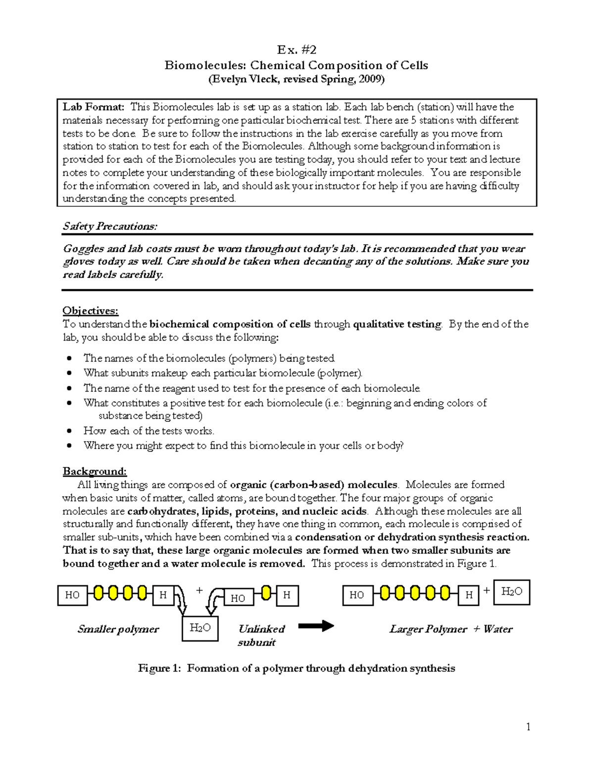 Ex#2- Biomolecules Chemical Composition of Cells - Ex. Biomolecules ...