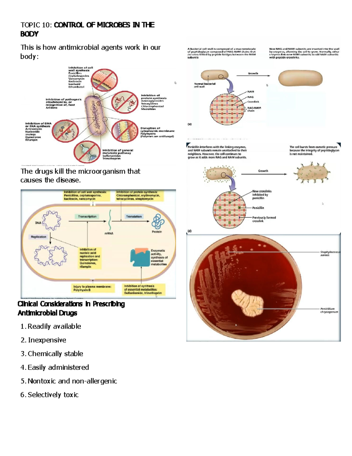 10 Control-OF- Microbes-IN-THE-BODY - TOPIC 10: CONTROL OF MICROBES IN ...