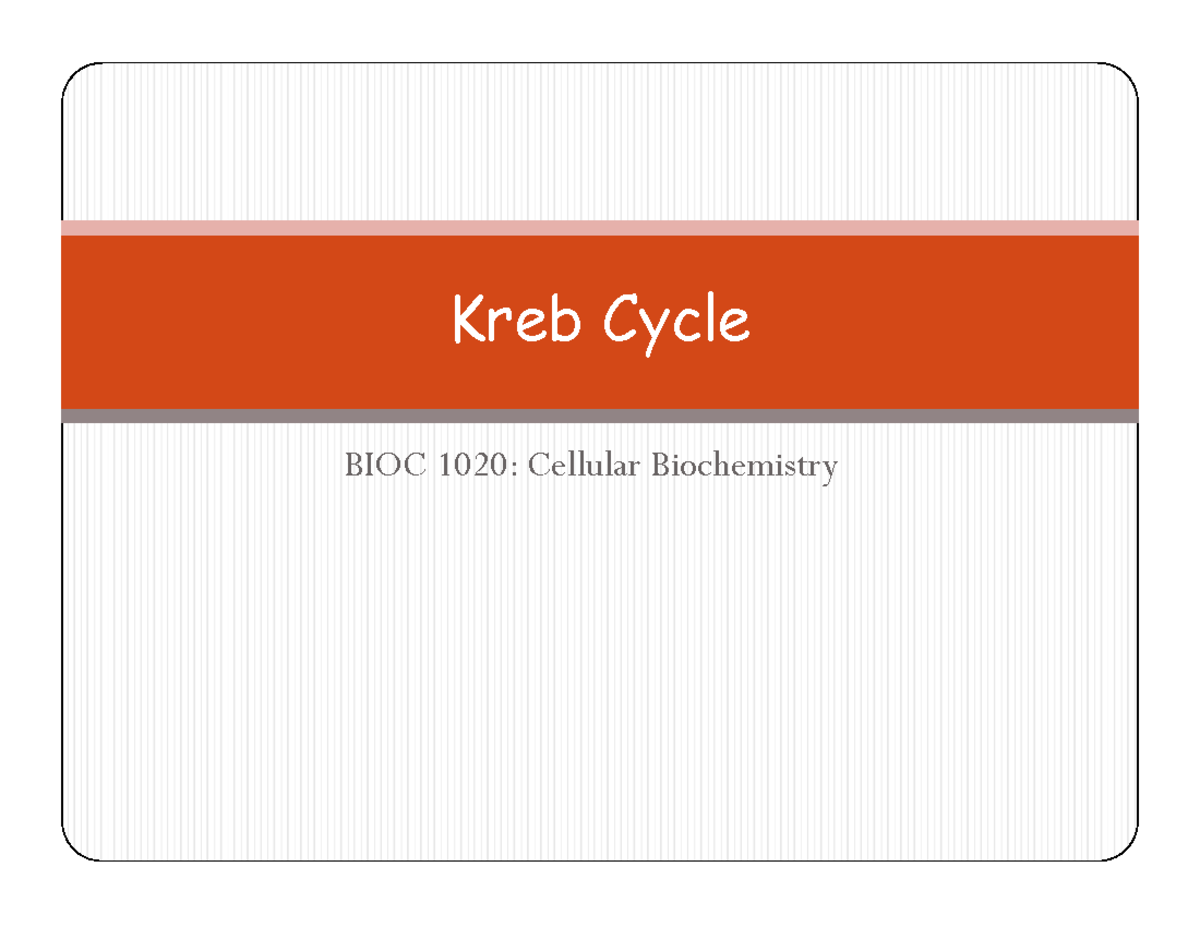 Kreb Cycle 2014 15 - Lecture notes 4 - Kreb Cycle BIOC 1020: Cellular ...