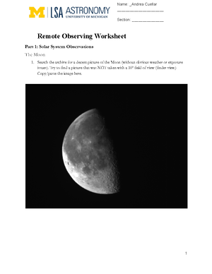 ASTRO101 Lab #6- Geologic Age- Radiometric Dating using the Half life ...